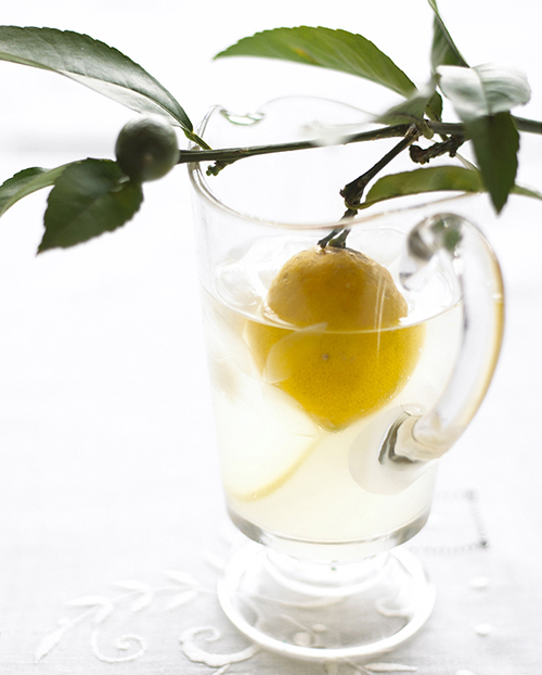 Contact | Marshall Gordon: Food, Beverage & Product Still Life Photographer